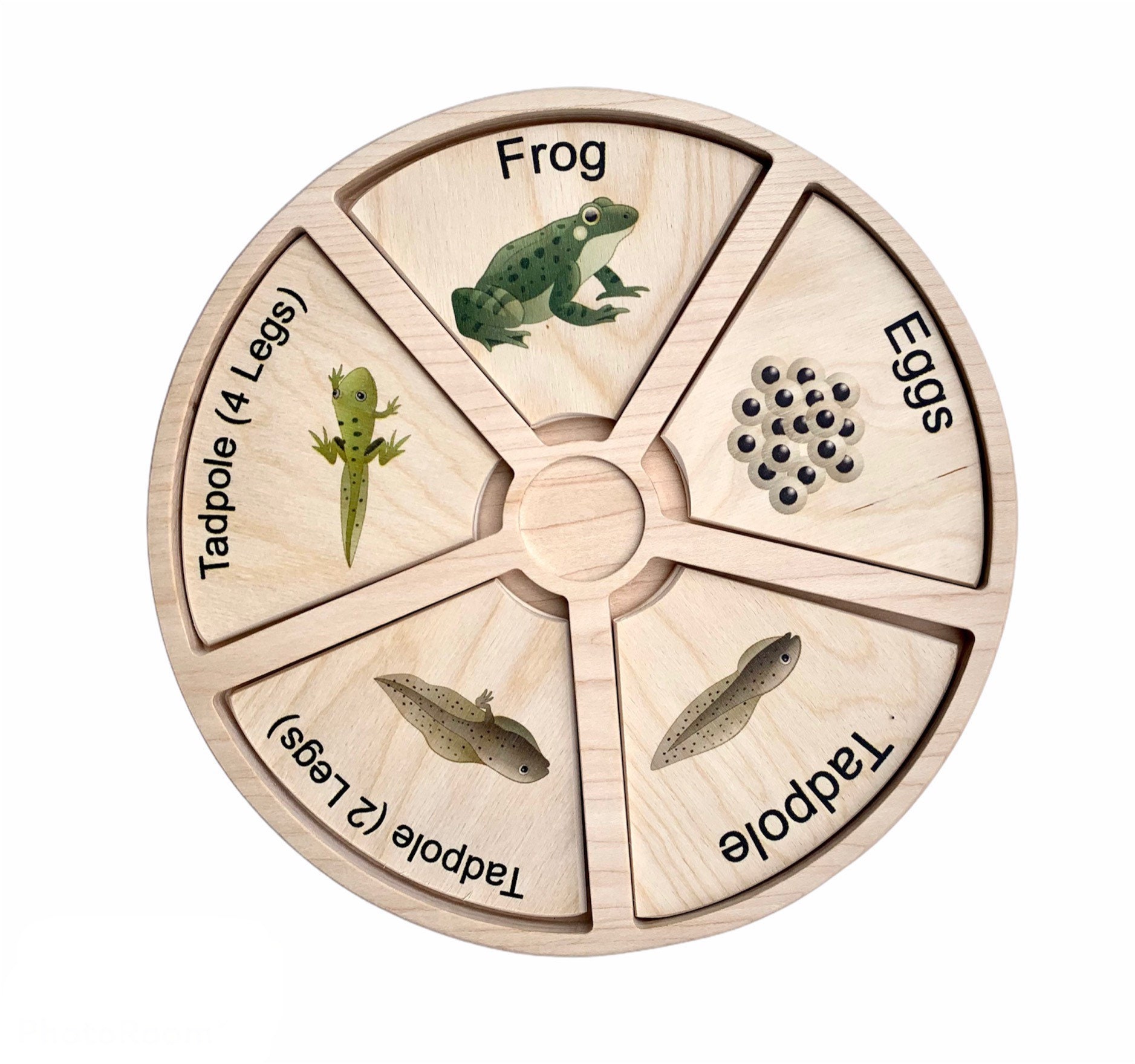 Frog Life Cycle Inserts, Frog Life, Pond Life, Wooden Inserts ...