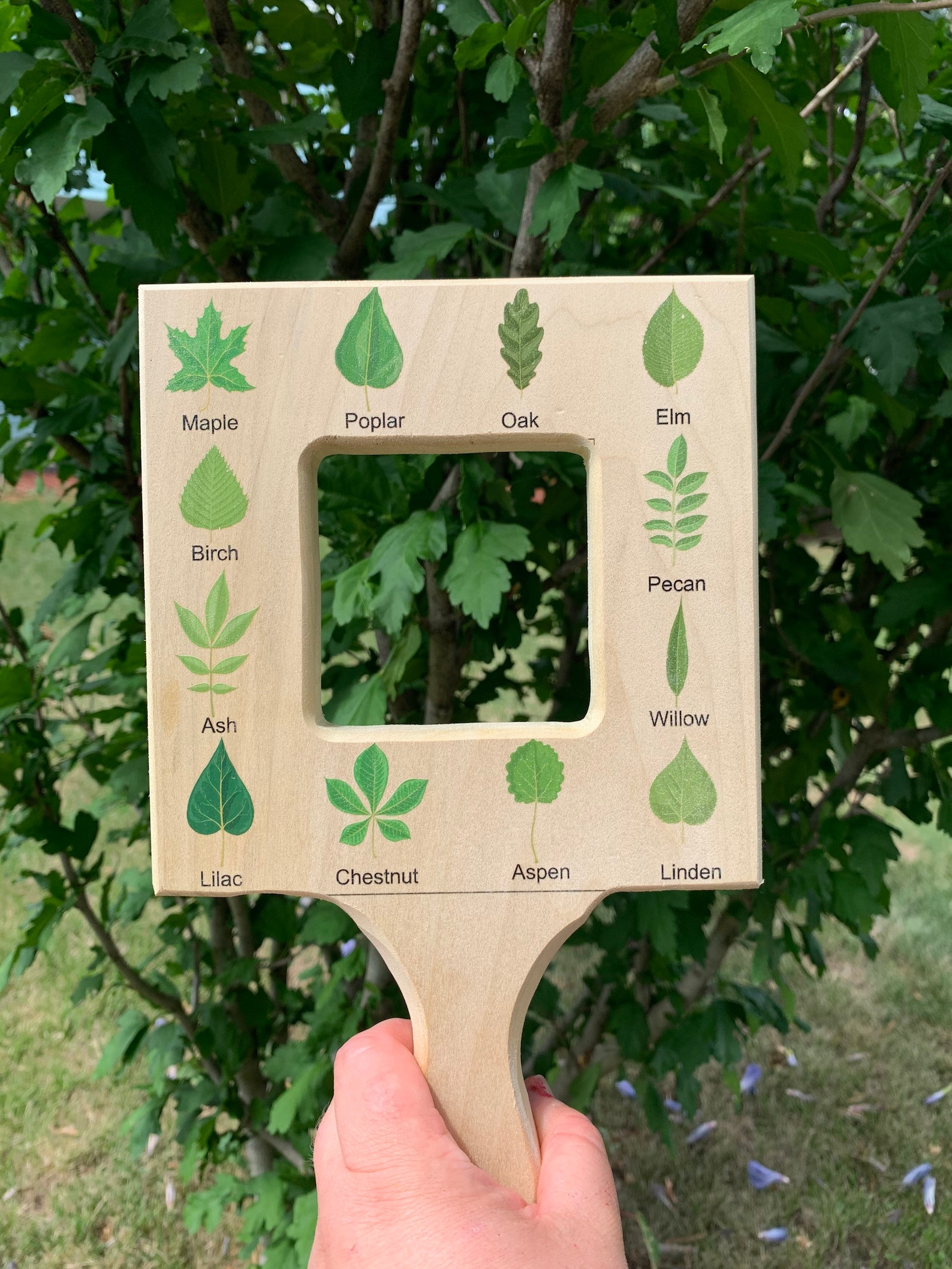 Nature guide finder leaf finder cloud viewer cloud | Etsy