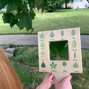 3 Nature Guide Finder, Leaf Finder, Cloud Viewer, Cloud Identification ...