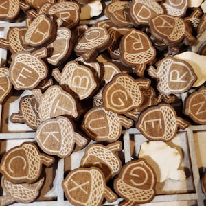 100 Alphabet Acorn Counters Loose Parts Manipulatives, 100 Board ...