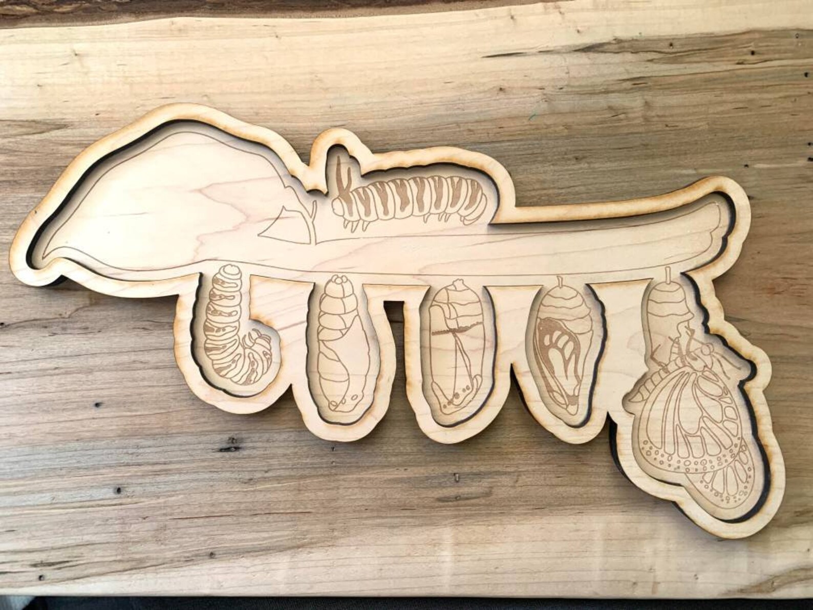 Monarch Butterfly Life Cycle Puzzle, Wooden Montesori Puzzle, Monarch ...