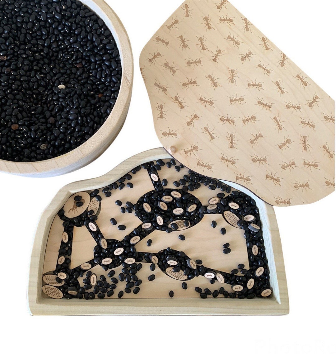 Interactive Ant Learning Unit, Learn About Ants, Ant Colony Tray ...