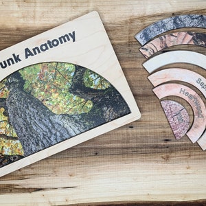 Anatomy of a Tree Trunk Puzzle, Montessori Wood Study, Homeschool ...