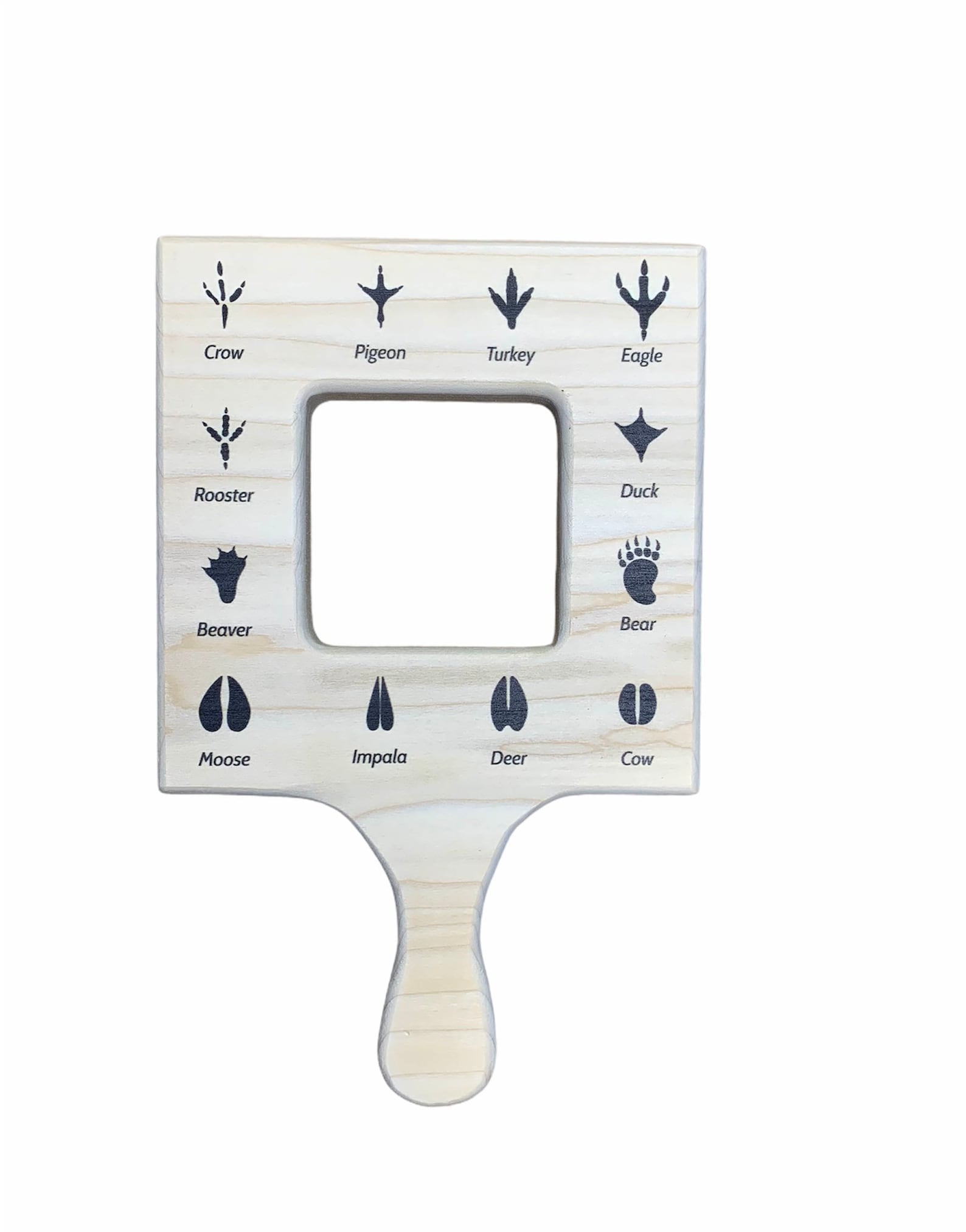 3 Nature Guide Finder, Leaf Finder, Cloud Viewer, Cloud Identification ...