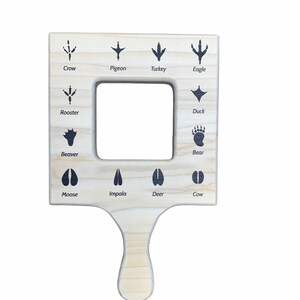 3 Nature Guide Finder, Leaf Finder, Cloud Viewer, Cloud Identification ...