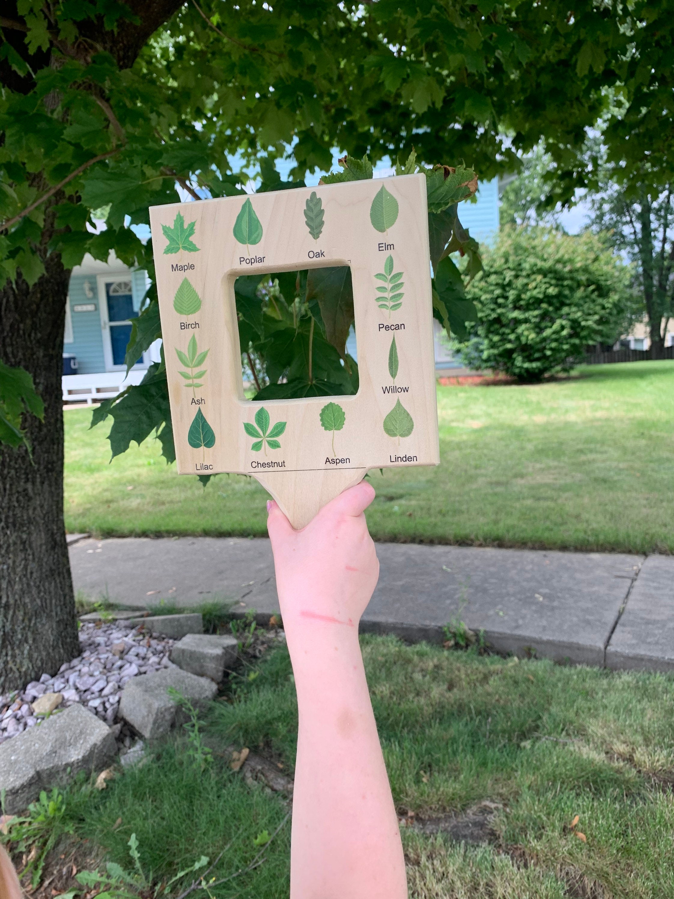 Nature Guide Finder Leaf Finder Cloud Viewer Cloud - Etsy Canada