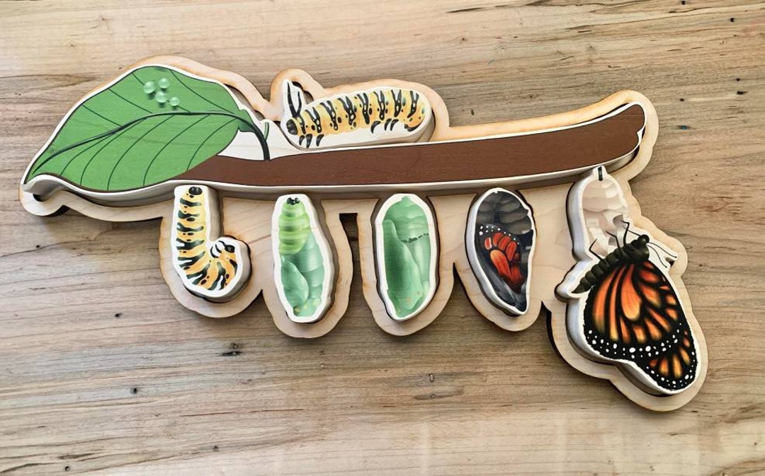 Monarch Butterfly Life Cycle Puzzle, Wooden Montesori Puzzle, Monarch ...