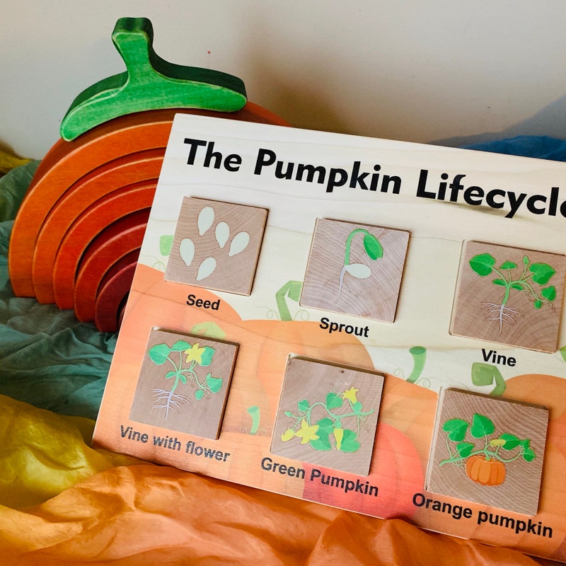 Life Cycle Puzzle - Etsy