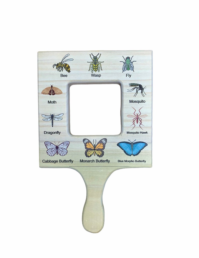 3 Nature Guide Finder Leaf Finder Cloud Viewer Cloud - Etsy