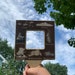 Nature Guide Finder, Leaf Finder, Cloud Viewer, Cloud Identification ...