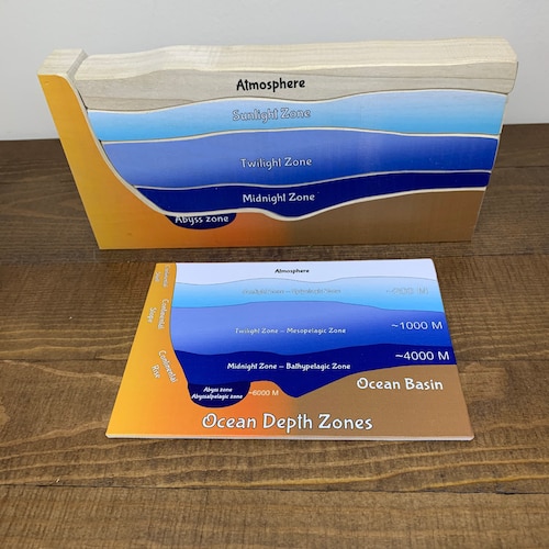 Ocean Zones Homeschooling Materials Ocean Curriculum - Etsy