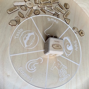 5 Senses Set, Touch Taste Hearing Sight Smell Activity, What Are the 5 ...