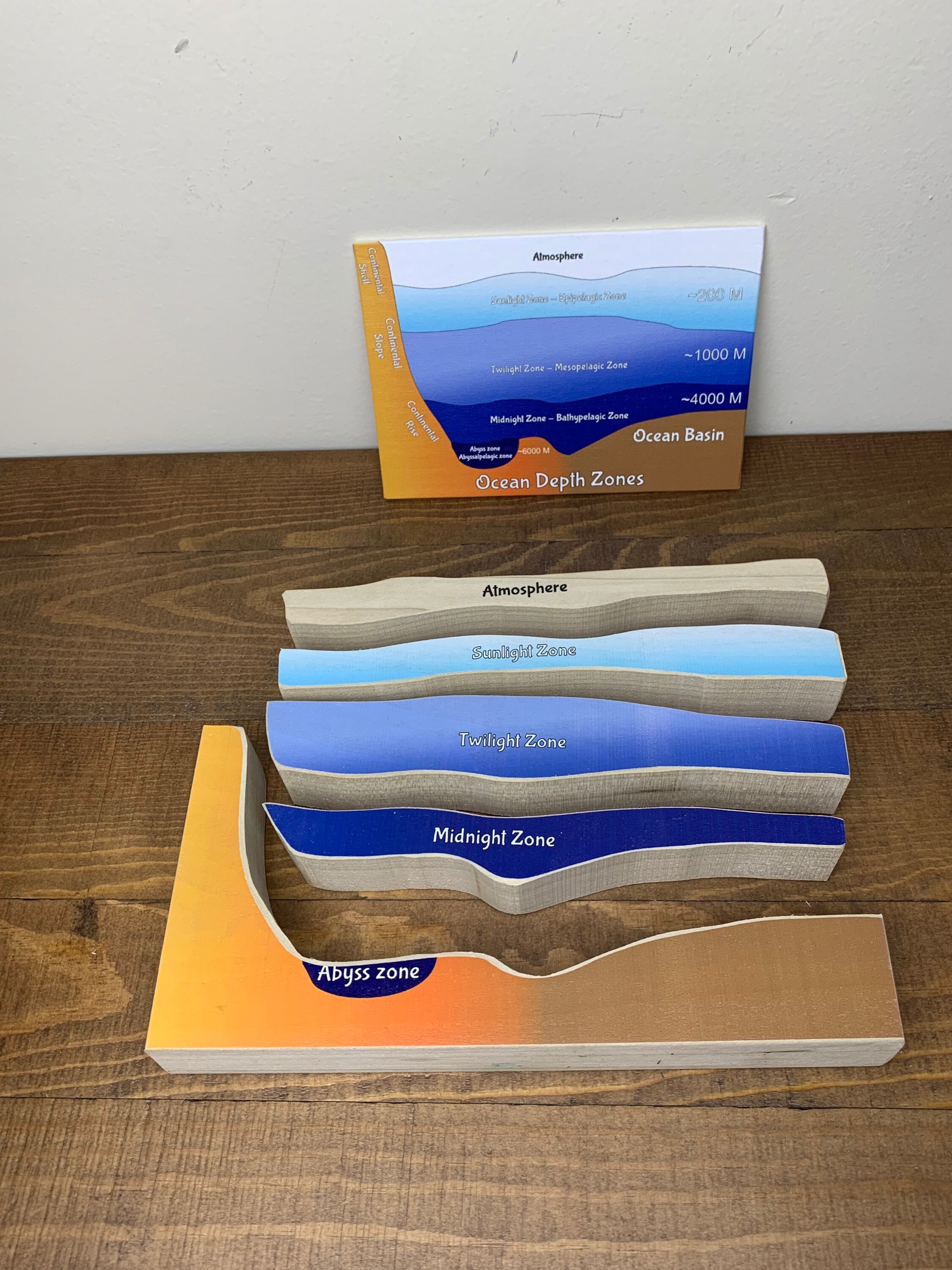 Ocean Zones, Homeschooling Materials, Ocean Curriculum, Montessori, Montessori Materials - Etsy