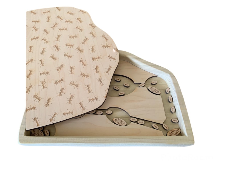 Interactive Ant Learning Tray, Learn About Ants, Ant Colony Tray ...