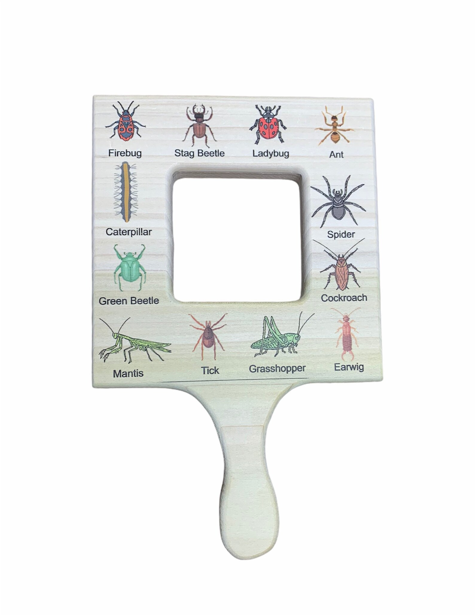 3 Nature Guide Finder, Leaf Finder, Cloud Viewer, Cloud Identification ...