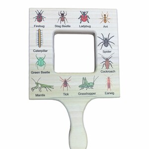 3 Nature Guide Finder, Leaf Finder, Cloud Viewer, Cloud Identification ...