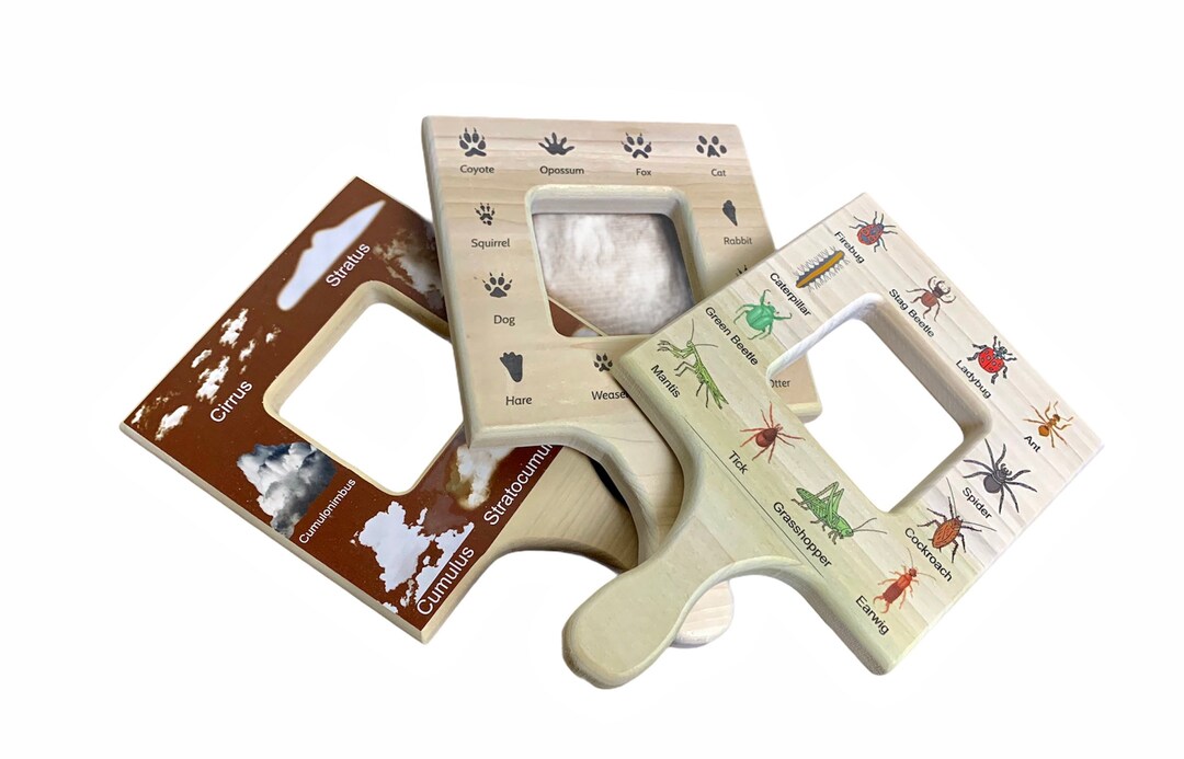 3 Nature Guide Finder, Leaf Finder, Cloud Viewer, Cloud Identification ...