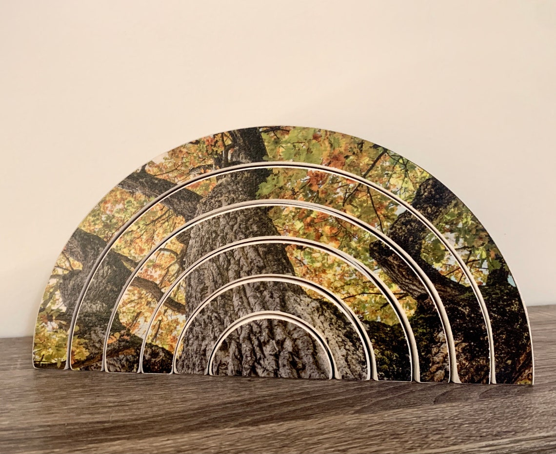Tree Trunk Layers, Trunk Layers, Wood Trunk, Montessori Materials ...