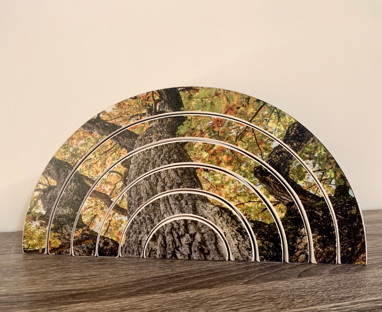 Tree Trunk Layers, Trunk Layers, Wood Trunk, Montessori Materials ...