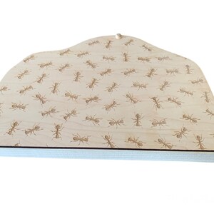 Interactive Ant Learning Tray, Learn About Ants, Ant Colony Tray ...