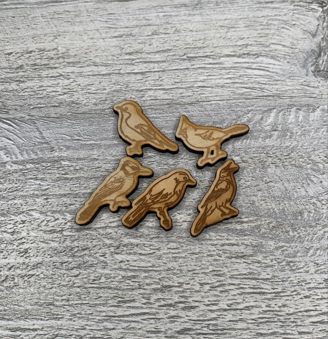 100 Wooden Bird Counters, North American Bird Math Manipulatives, Mix ...