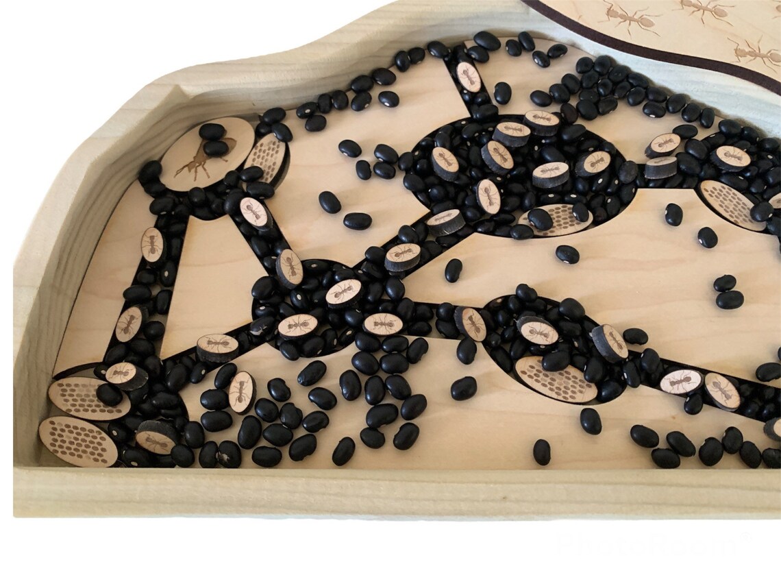 Interactive Ant Learning Tray, Learn About Ants, Ant Colony Tray ...