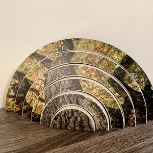 Tree Trunk Layers, Trunk Layers, Wood Trunk, Montessori Materials ...