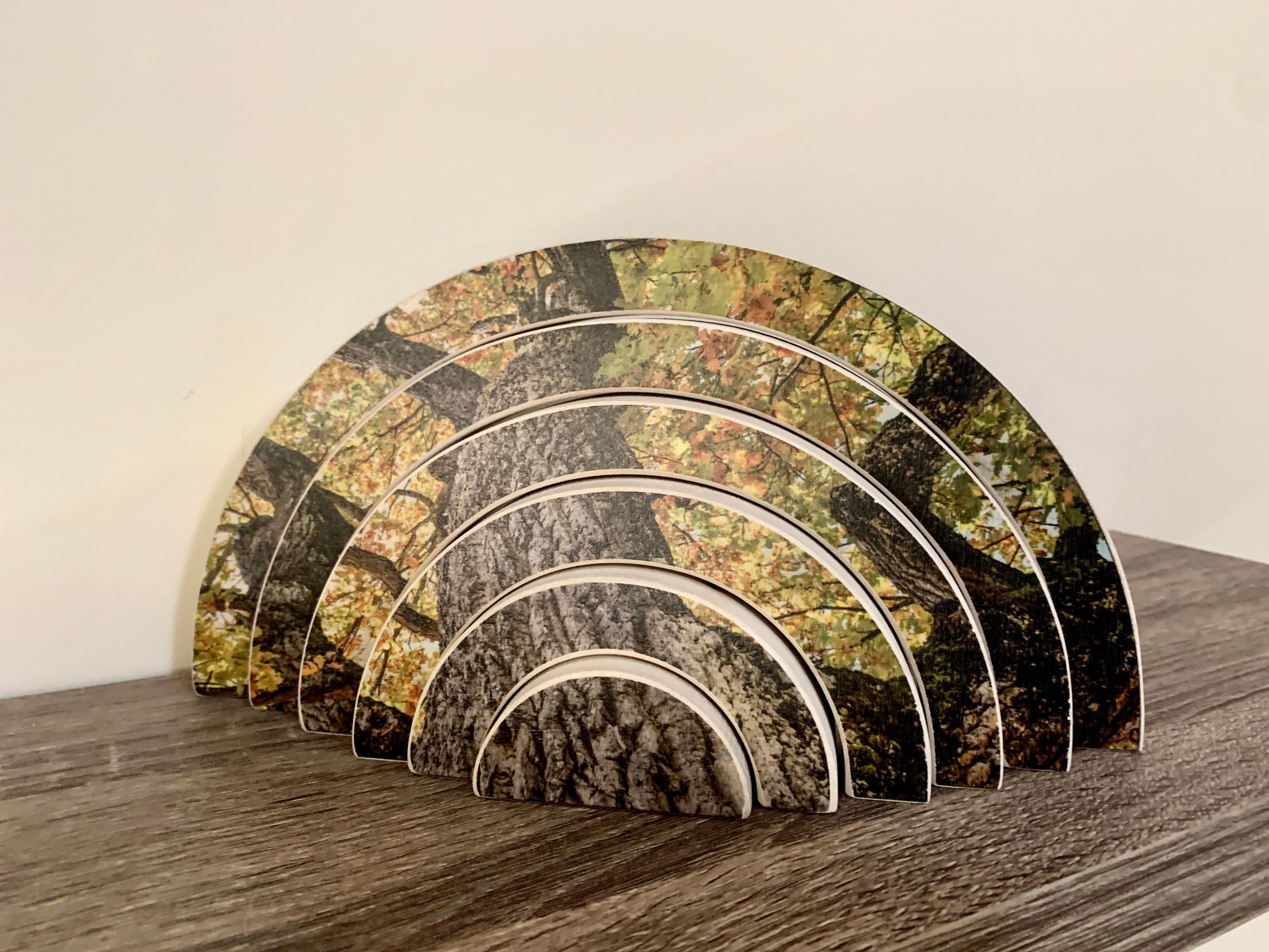 Tree Trunk Layers, Trunk Layers, Wood Trunk, Montessori Materials ...