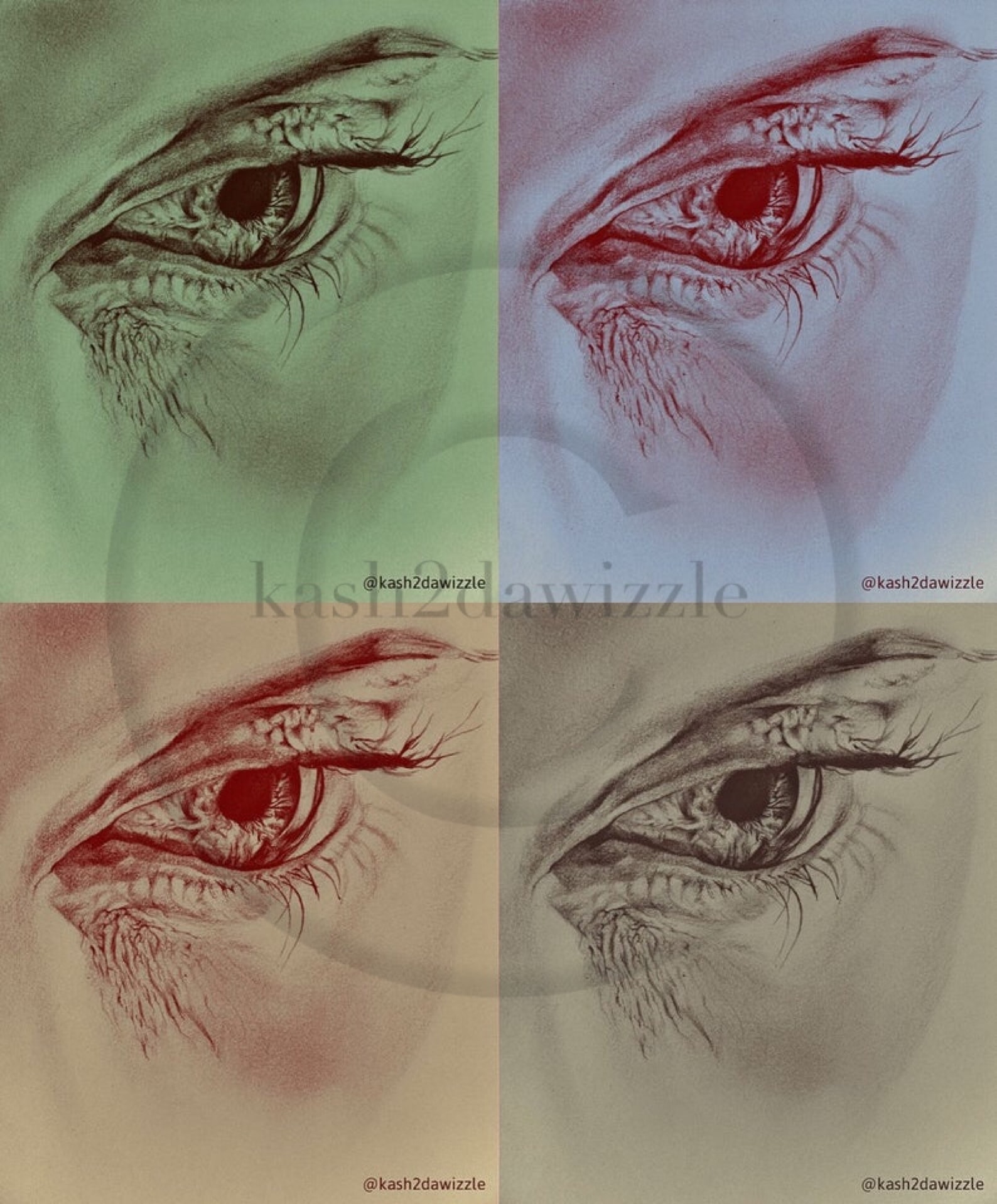 4 Section Eye (A4/A3) Print/poster - Etsy