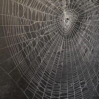 Spider Web Corner Gusset DXF Bundle for Fabricators (5 Point Style) - Etsy