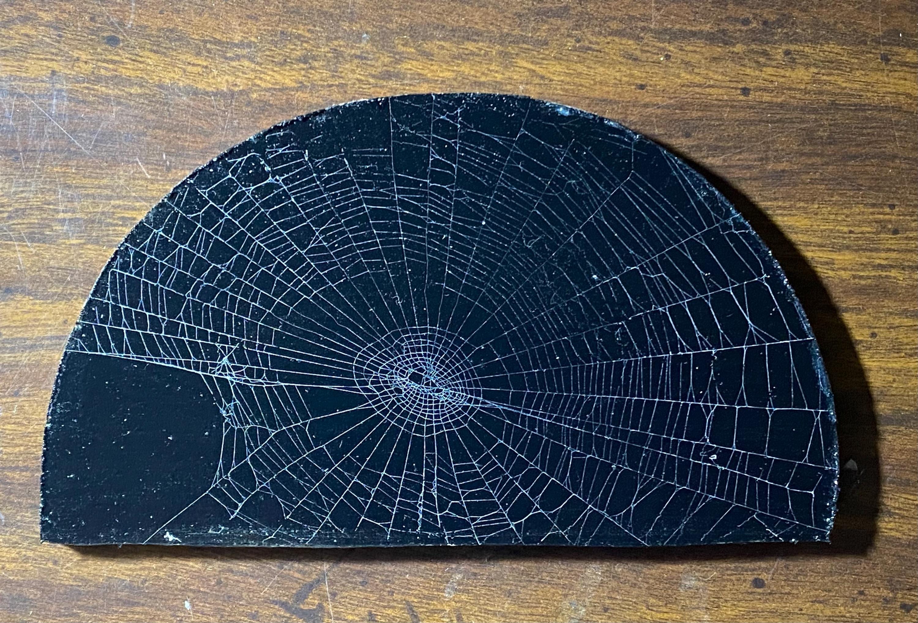 ORB WEAVER WEB - Preserved Hand Mounted Spider Web on Hardwood Panel ...