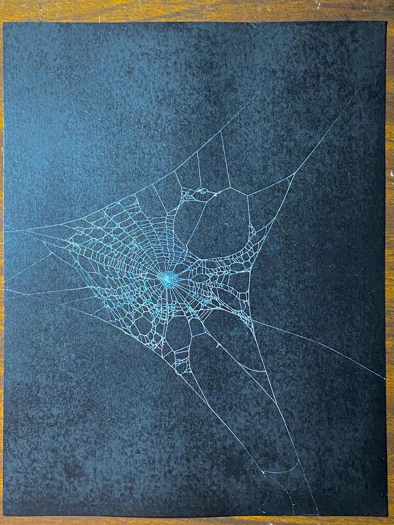 ORB WEAVER SPIDER - 11 X 8.5 Large Preserved Spider Web for Craft or ...