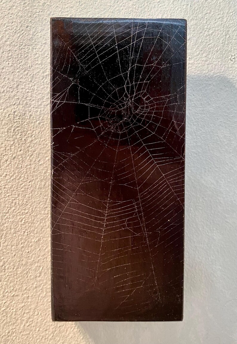 ORB WEAVER WEB - Preserved Hand Mounted Spider Web on Hardwood Panel ...
