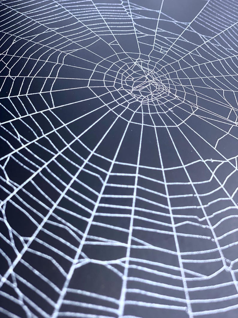 AUTHENTIC Orb Weaver Spider Web - Preserved Spider Web for Craft or ...