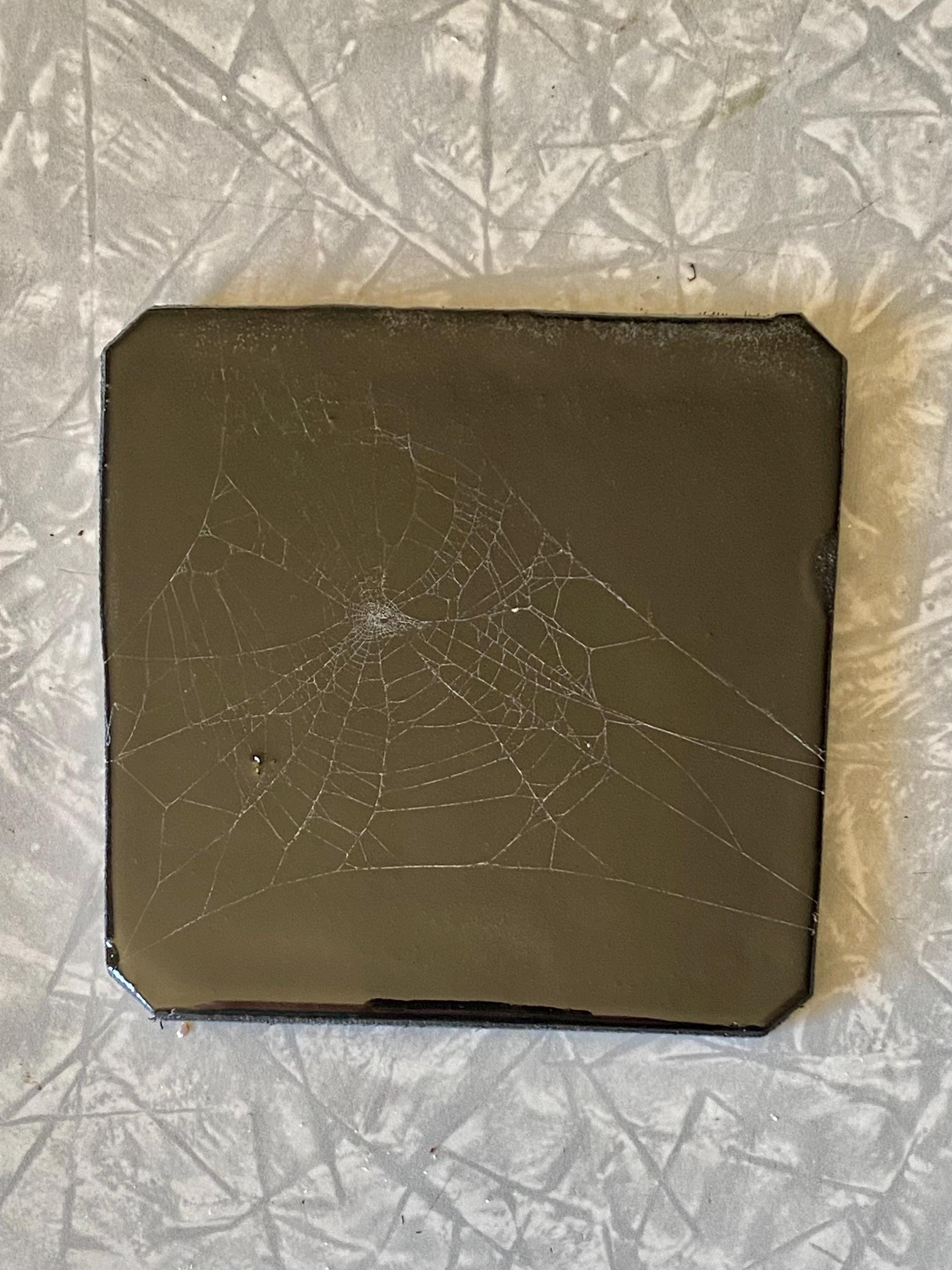 ORB WEAVER WEB - Preserved Hand Mounted Spider Web on Hardwood Panel ...