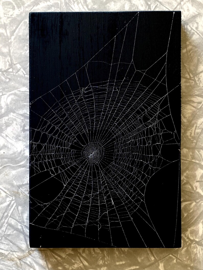 ORB WEAVER WEB - Preserved Hand Mounted Spider Web on Hardwood Panel ...