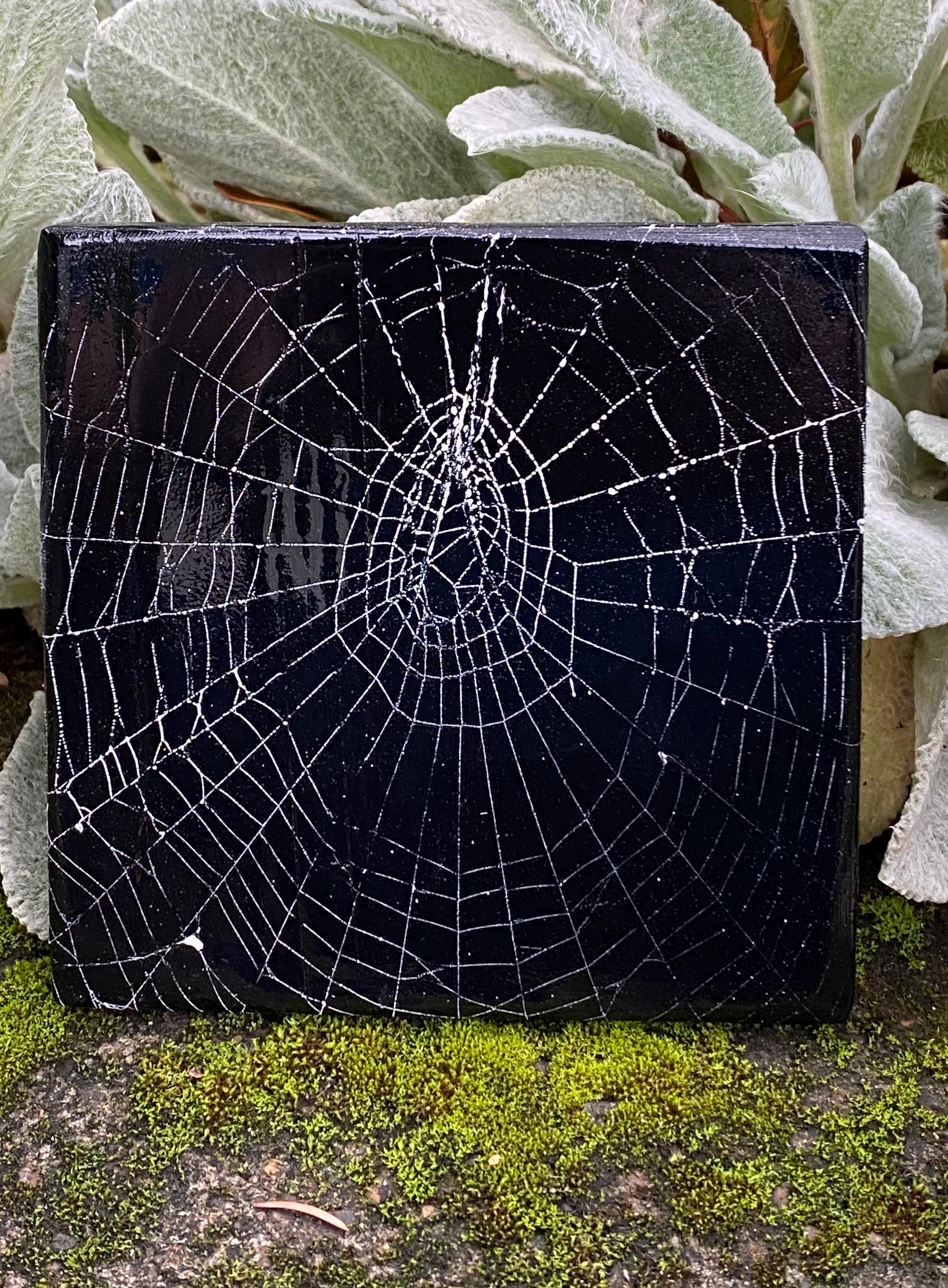 ORB WEAVER WEB - Preserved Hand Mounted Spider Web on Hardwood Panel ...