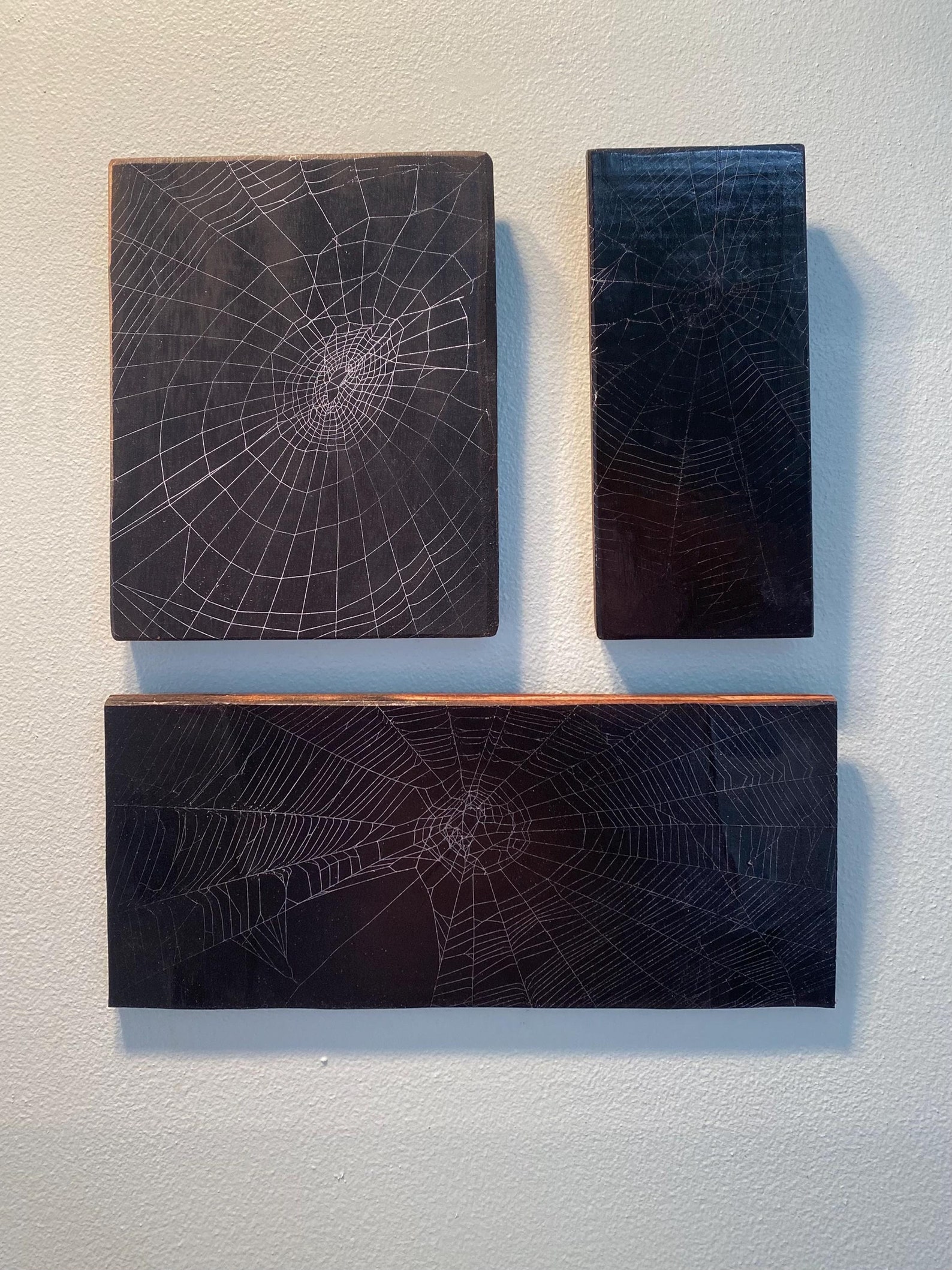ORB WEAVER WEB - Preserved Hand Mounted Spider Web on Hardwood Panel ...
