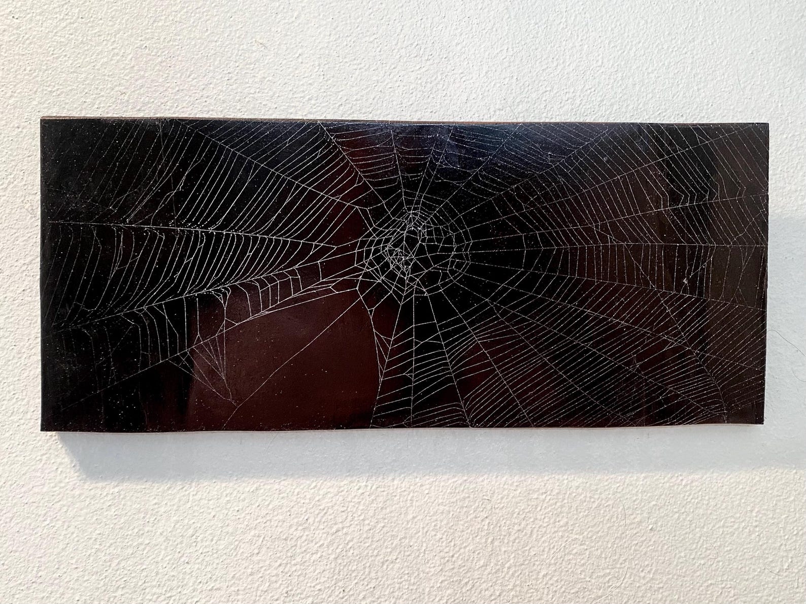 ORB WEAVER WEB - Preserved Hand Mounted Spider Web on Hardwood Panel ...