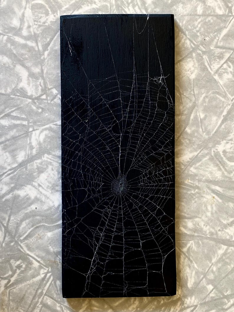 ORB WEAVER WEB - Preserved Hand Mounted Spider Web on Hardwood Panel ...