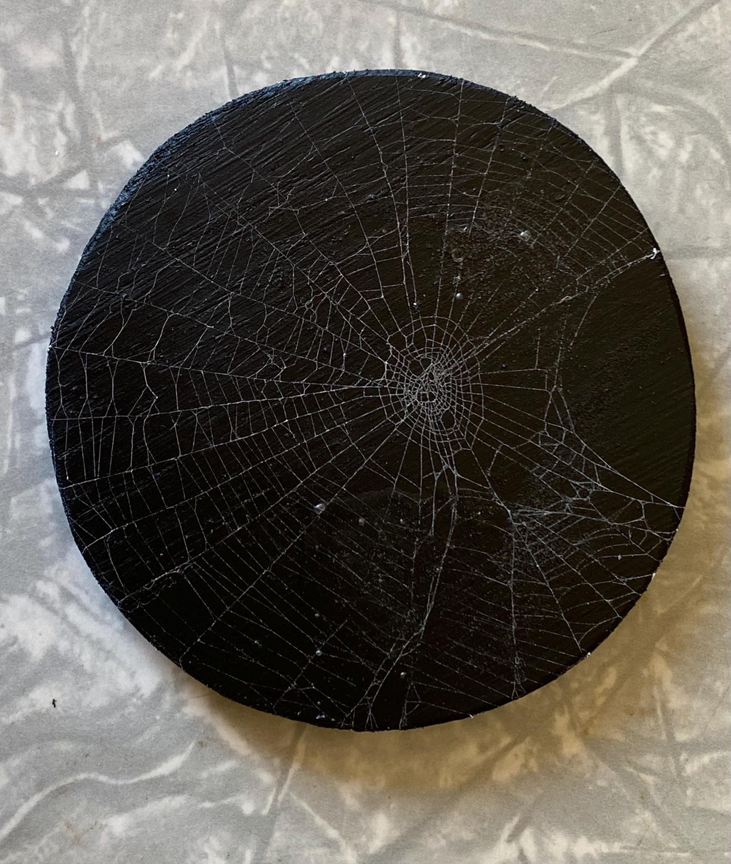ORB WEAVER WEB - Preserved Hand Mounted Spider Web on Hardwood Panel ...