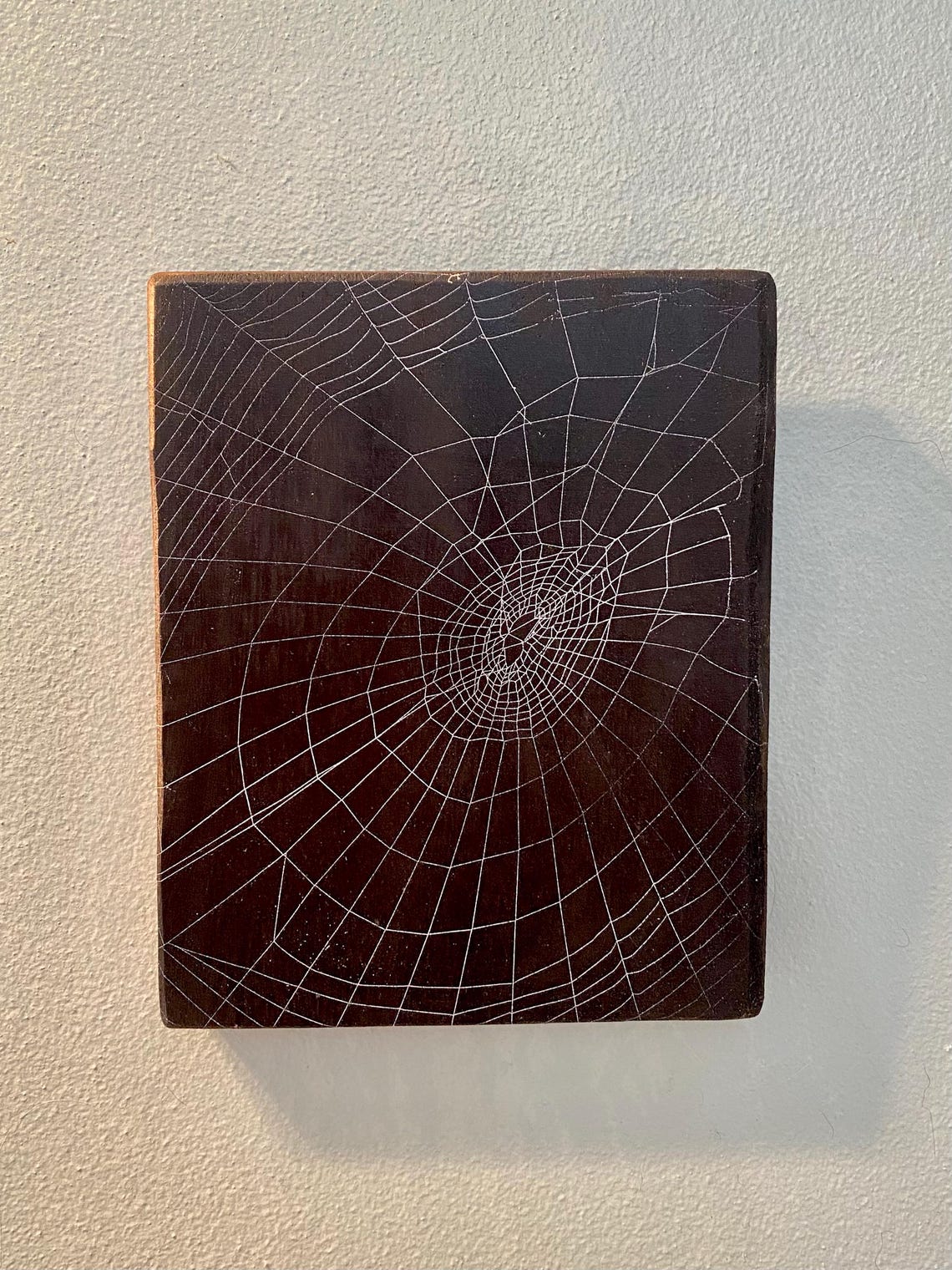 ORB WEAVER WEB Preserved Hand Mounted Spider Web on Hardwood Panel for ...
