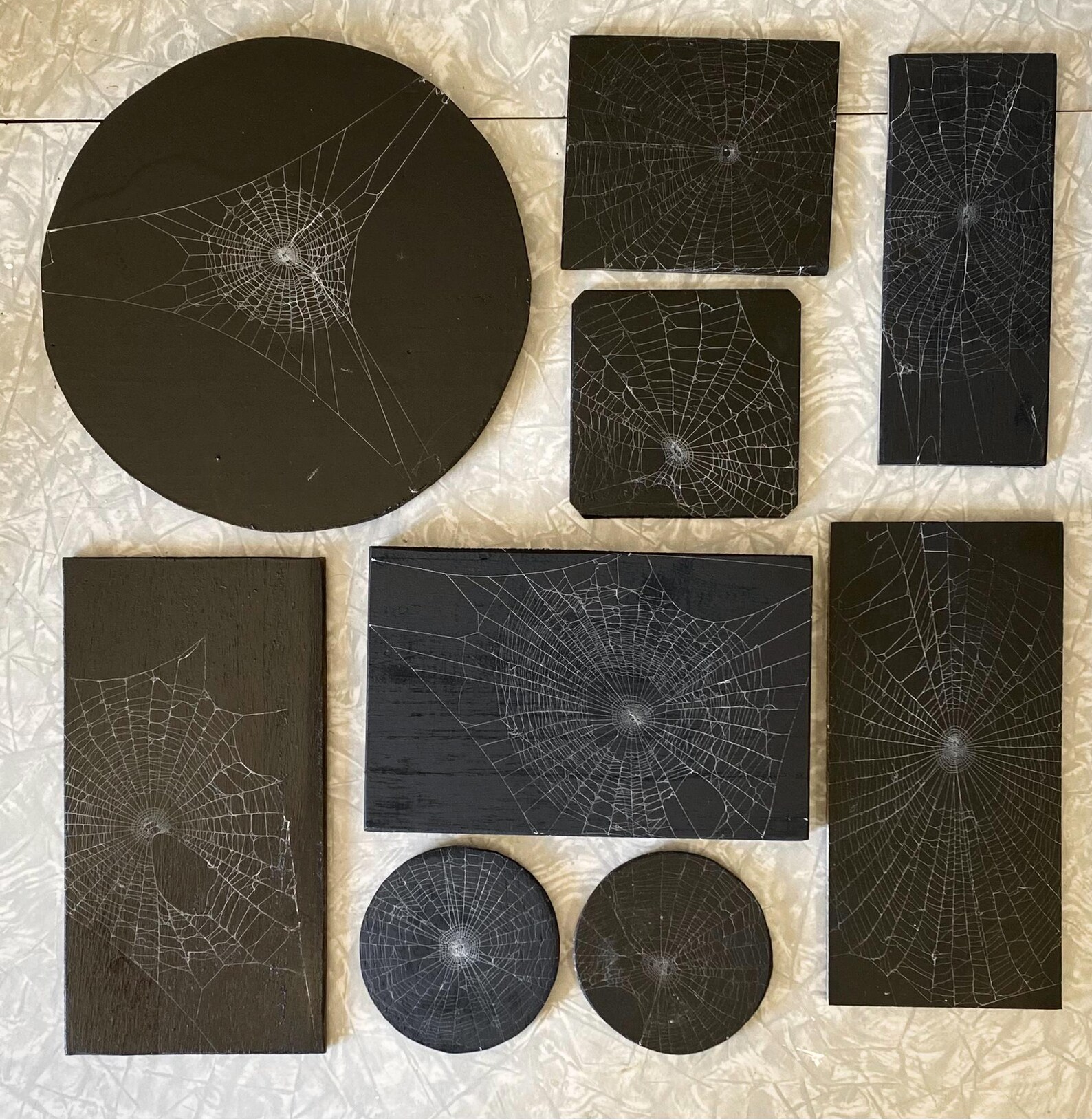 ORB WEAVER WEB - Preserved Hand Mounted Spider Web on Hardwood Panel ...