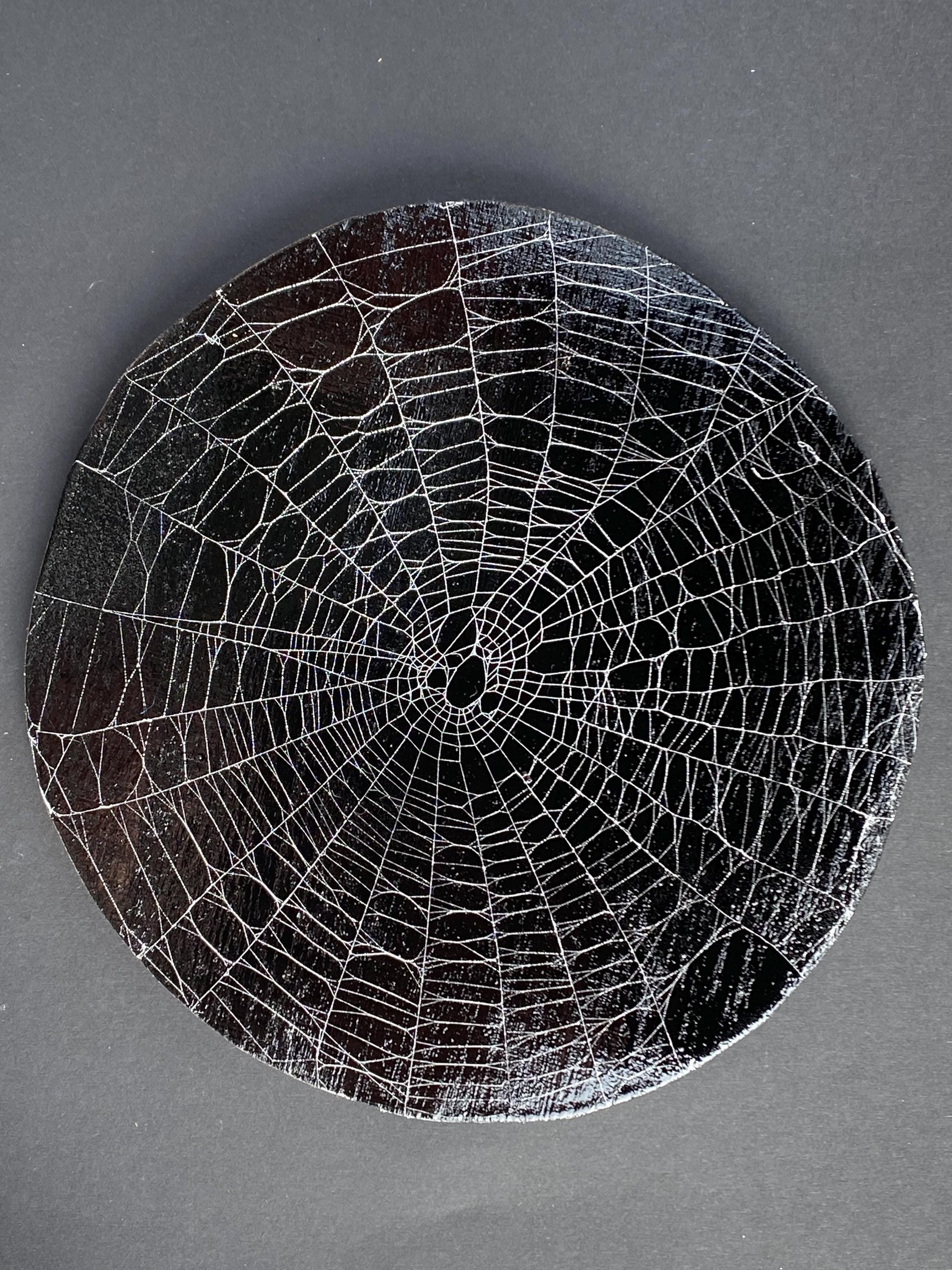ORB WEAVER WEB - Preserved Hand Mounted Spider Web on Hardwood Panel ...
