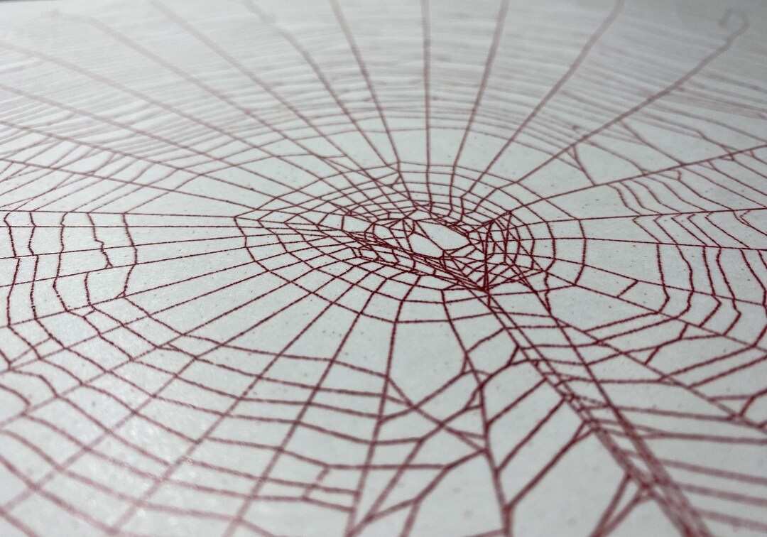 AUTHENTIC Orb Weaver Spider Web - 12 X 9 Preserved Spider Web for Craft ...