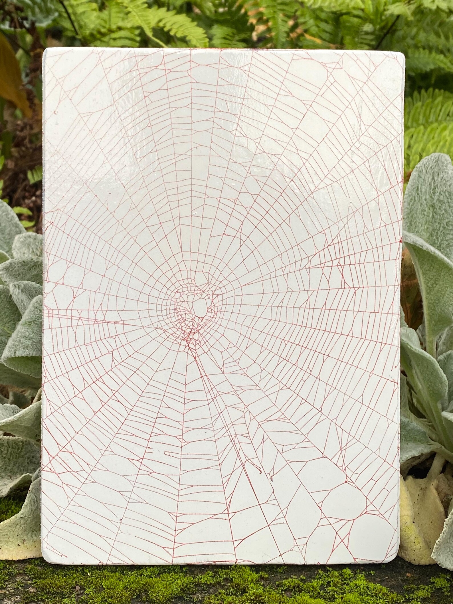 ORB WEAVER WEB - Preserved Hand Mounted Spider Web on Hardwood Panel ...