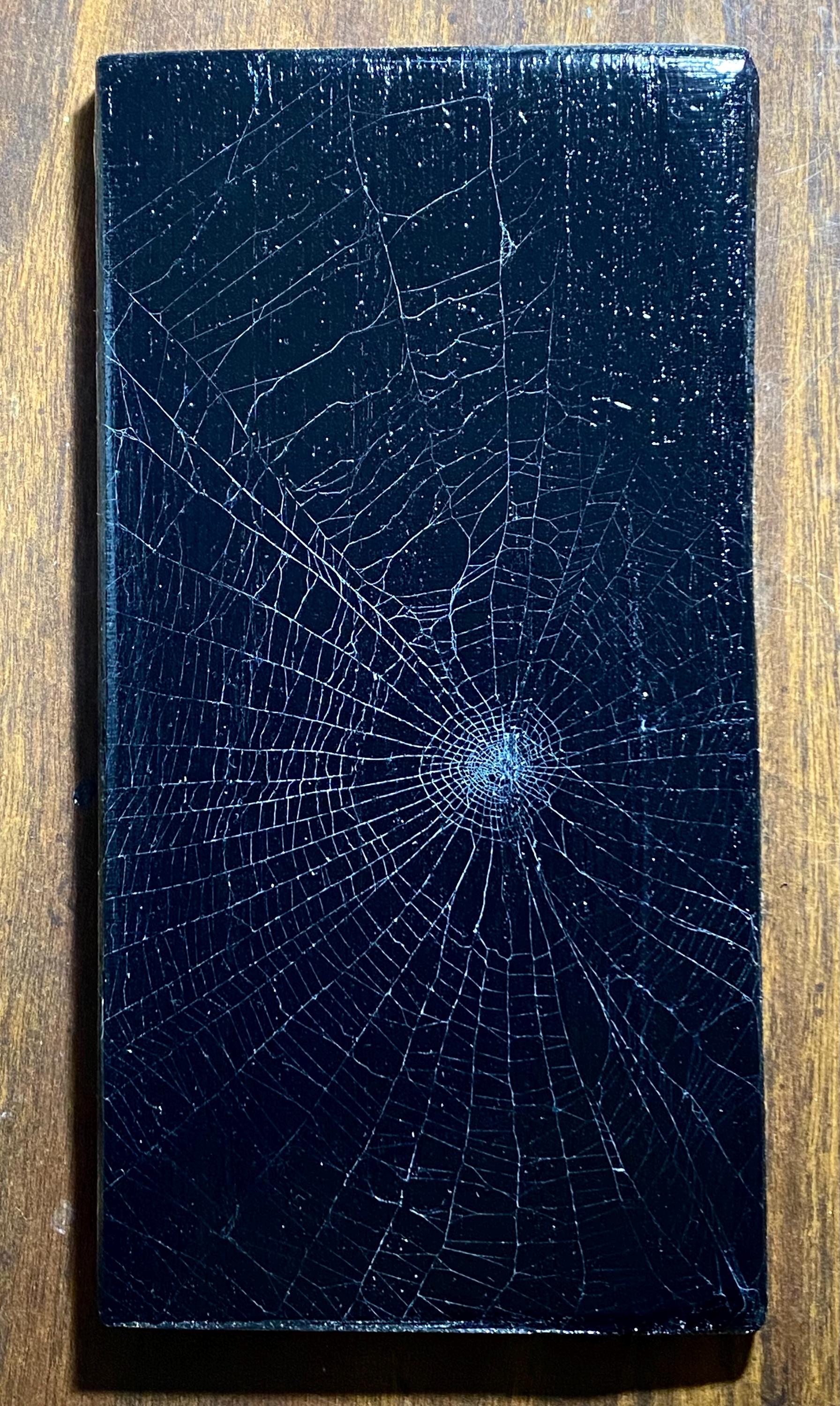 ORB WEAVER WEB - Preserved Hand Mounted Spider Web on Hardwood Panel ...