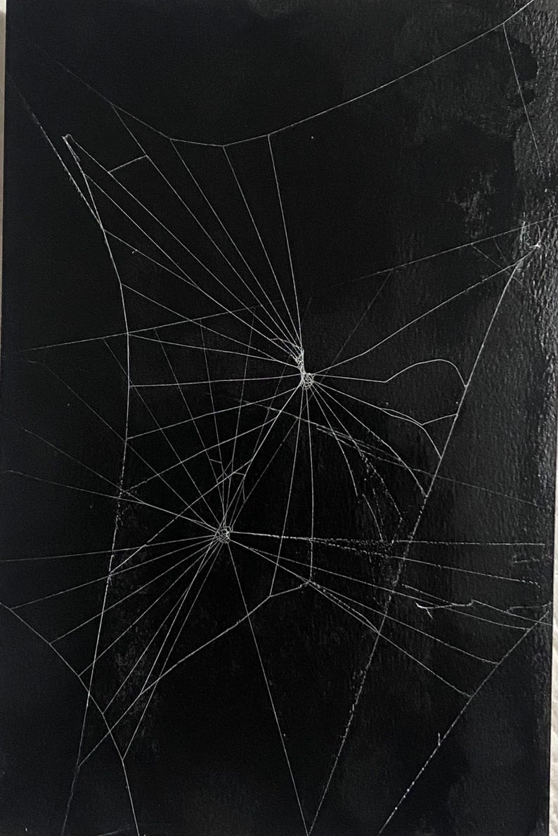AUTHENTIC Orb Weaver Spider Web - Preserved Spider Web for Craft or ...