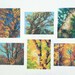 Tree Note Card Set Autumn Leaves Stationery Boxed Gift Set - Etsy