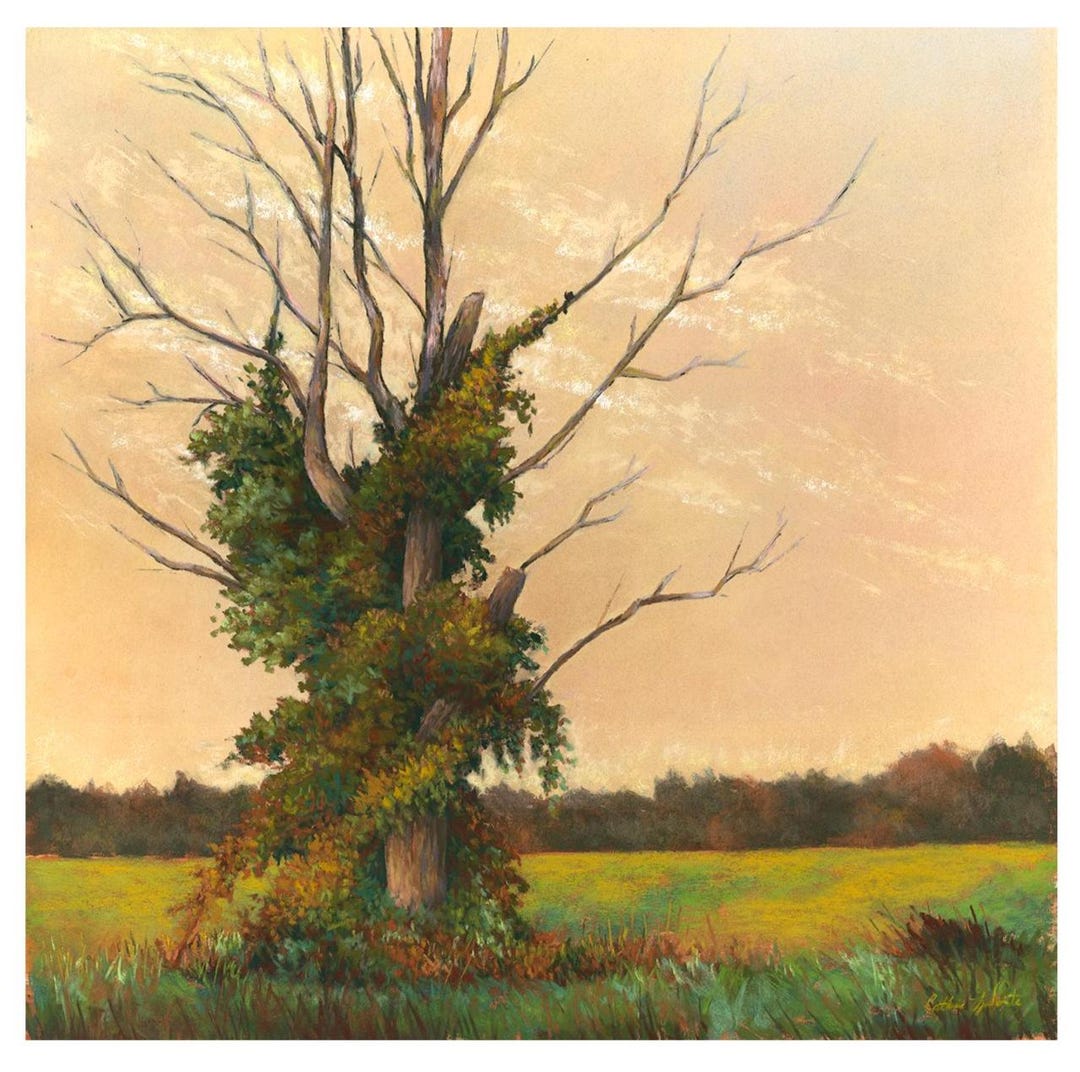 Renewal Cycle Dying Tree of Life Art Print - Etsy